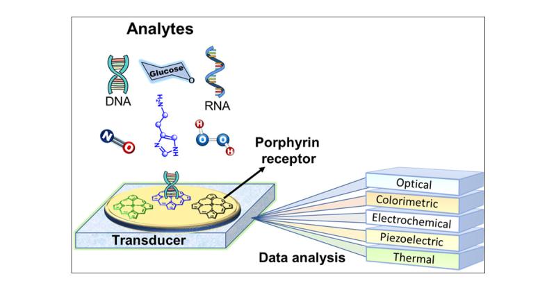 Balram Singh, PhD on LinkedIn: Organic–Inorganic Porphyrinoid ... Balram Singh, PhD on LinkedIn: Organic–Inorganic Porphyrinoid ...