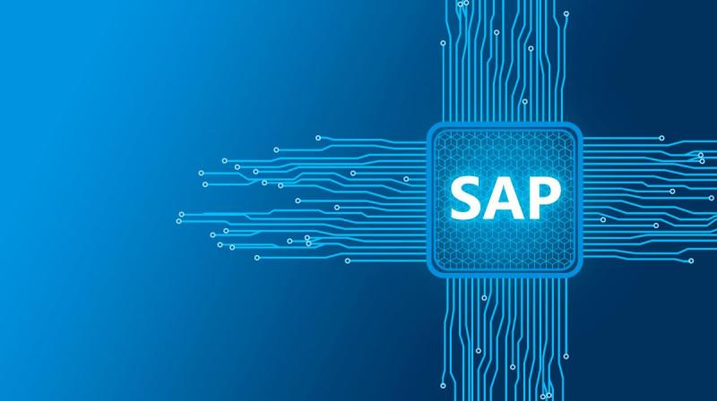 francoise nove-josserand on LinkedIn: Bursting with Data, SAP Declines ... francoise nove-josserand on LinkedIn: Bursting with Data, SAP Declines ...