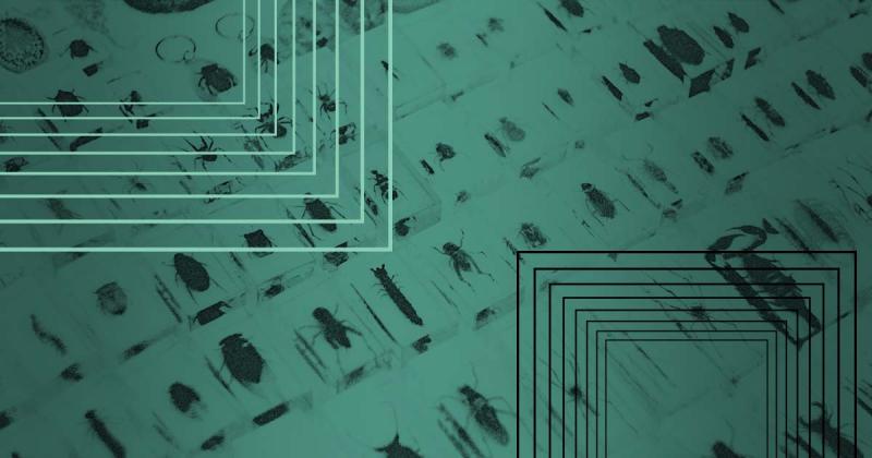 Decipher on LinkedIn: Exploit Attempts Against Check Point CVE-2024 ... Decipher on LinkedIn: Exploit Attempts Against Check Point CVE-2024 ...