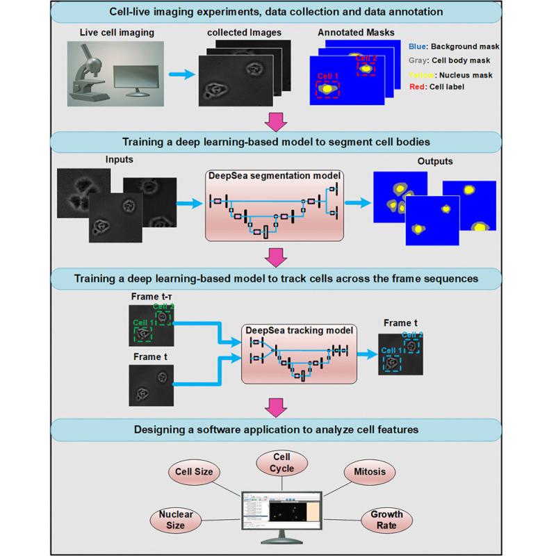 Arun Alex on LinkedIn: Novel deep learning-based software detects and ... Arun Alex on LinkedIn: Novel deep learning-based software detects and ...