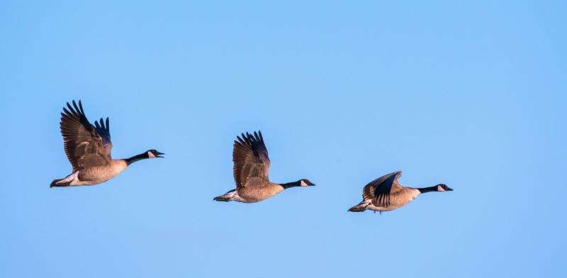 hubbado on LinkedIn: Data Migration best practices, common issues & advice hubbado on LinkedIn: Data Migration best practices, common issues & advice