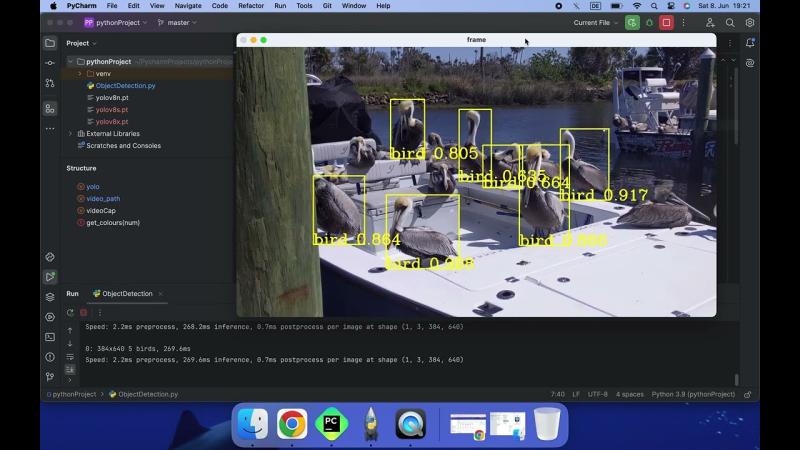 Sofiia Kosovan on LinkedIn: Brown Pelican Detection - using YOLOv8 ... Sofiia Kosovan on LinkedIn: Brown Pelican Detection - using YOLOv8 ...