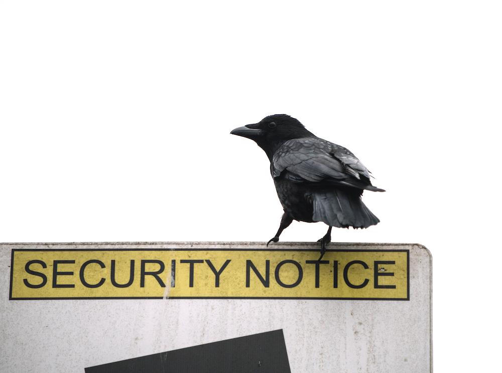 Paraxial.io on LinkedIn: Exploit Guard: Open Source Runtime Application ... Paraxial.io on LinkedIn: Exploit Guard: Open Source Runtime Application ...