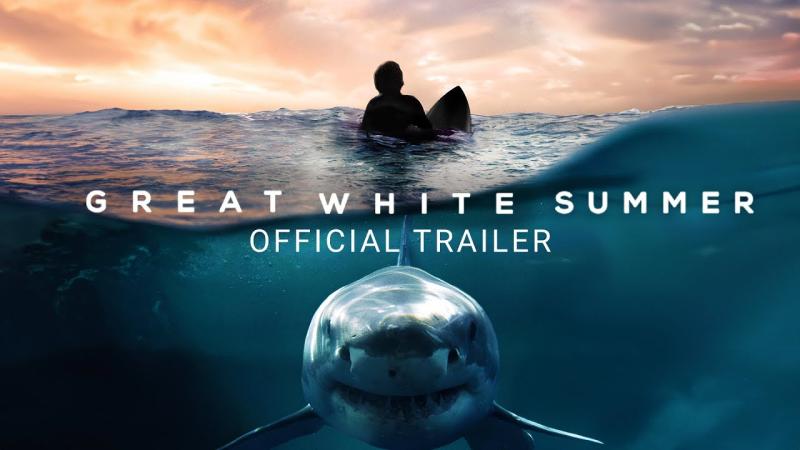 Northern Lights on LinkedIn: Great White Summer | Official Trailer ... Northern Lights on LinkedIn: Great White Summer | Official Trailer ...