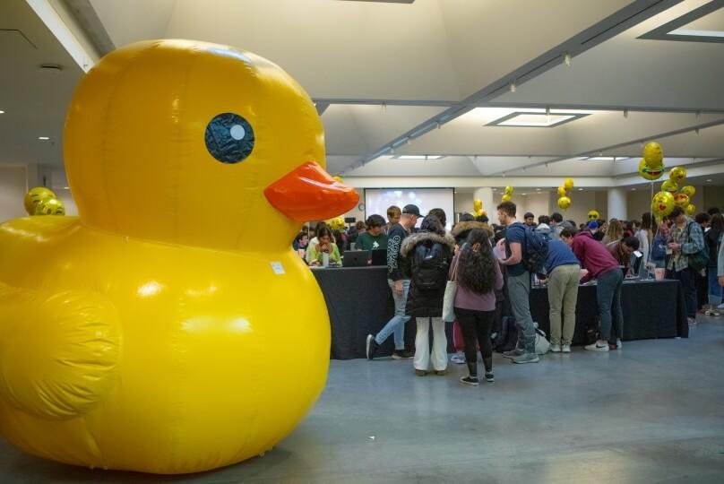 CS50 on LinkedIn: “Quacking” into computer programming CS50 on LinkedIn: “Quacking” into computer programming