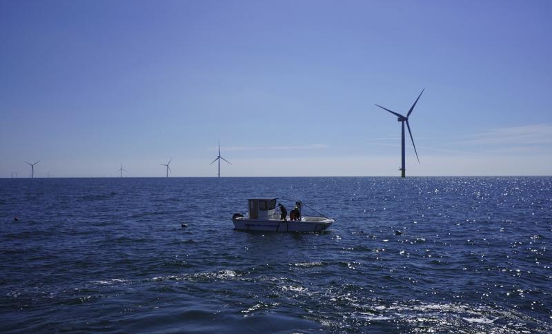 Jason Clay on LinkedIn: Beneath offshore wind turbines, researchers ... Jason Clay on LinkedIn: Beneath offshore wind turbines, researchers ...
