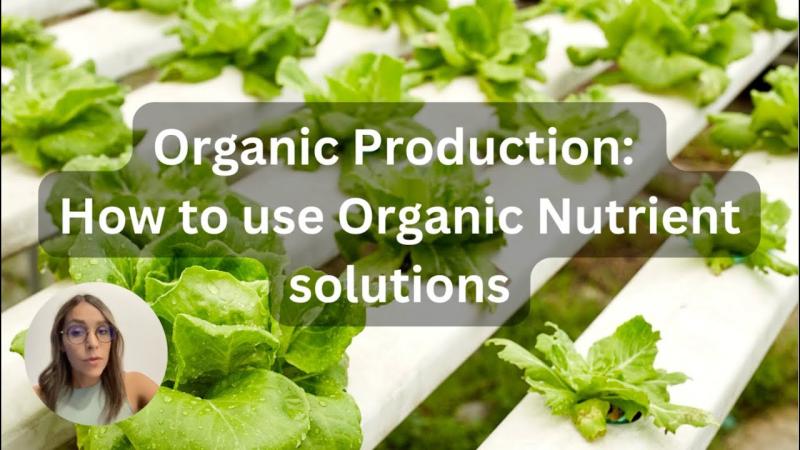 Sameer Awasthi on LinkedIn: Quick Facts: How to Use Organic Nutrient ... Sameer Awasthi on LinkedIn: Quick Facts: How to Use Organic Nutrient ...