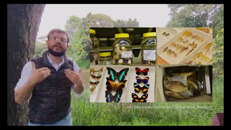 IVAN MATEO TAMAYO CEBALLOS on LinkedIn: RED DE MUSEOS DE BIODIVERSIDAD ... IVAN MATEO TAMAYO CEBALLOS on LinkedIn: RED DE MUSEOS DE BIODIVERSIDAD ...