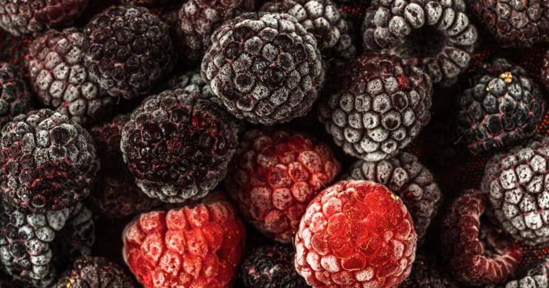 Sotiris Zisis on LinkedIn: Raising frozen food temperature by 3°C can ... Sotiris Zisis on LinkedIn: Raising frozen food temperature by 3°C can ...