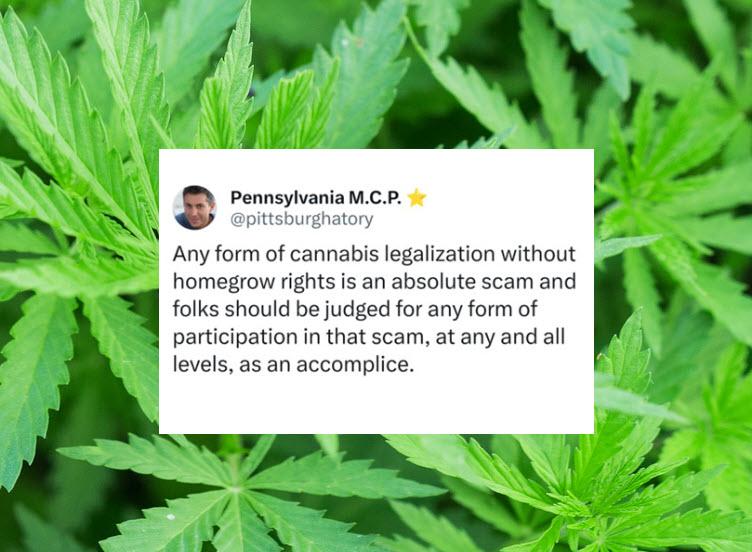 庄稼 on LinkedIn: If You Can't Grow It, It's Not Legal! - Why Americans ... 庄稼 on LinkedIn: If You Can't Grow It, It's Not Legal! - Why Americans ...
