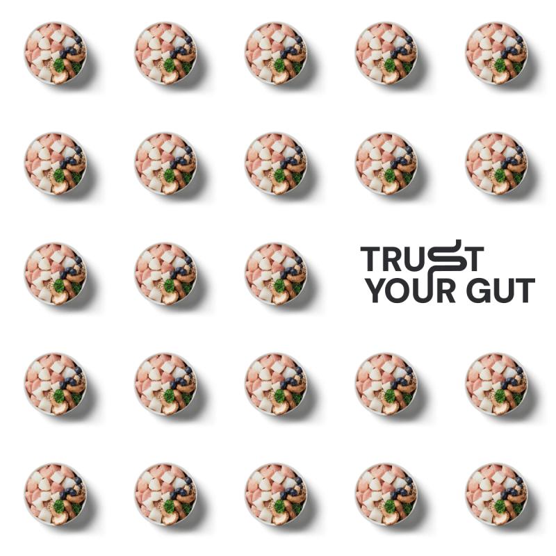 K9 Anytime on LinkedIn: The Study - Trust Your Gut K9 Anytime on LinkedIn: The Study - Trust Your Gut