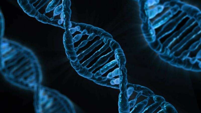 Philip Daugherty on LinkedIn: Legislature OKs bill requiring DNA ... Philip Daugherty on LinkedIn: Legislature OKs bill requiring DNA ...