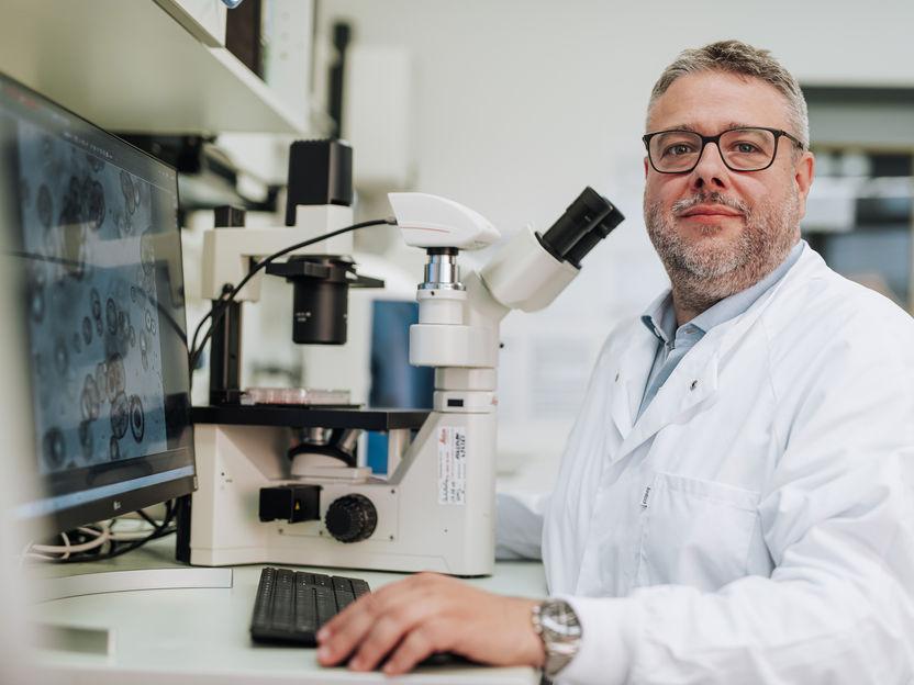 bionity.com on LinkedIn: Curing cancer in the petri dish bionity.com on LinkedIn: Curing cancer in the petri dish