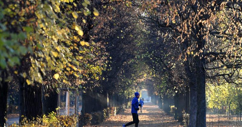 Rajesh Sinha on LinkedIn: How to green cities — without the backlash Rajesh Sinha on LinkedIn: How to green cities — without the backlash