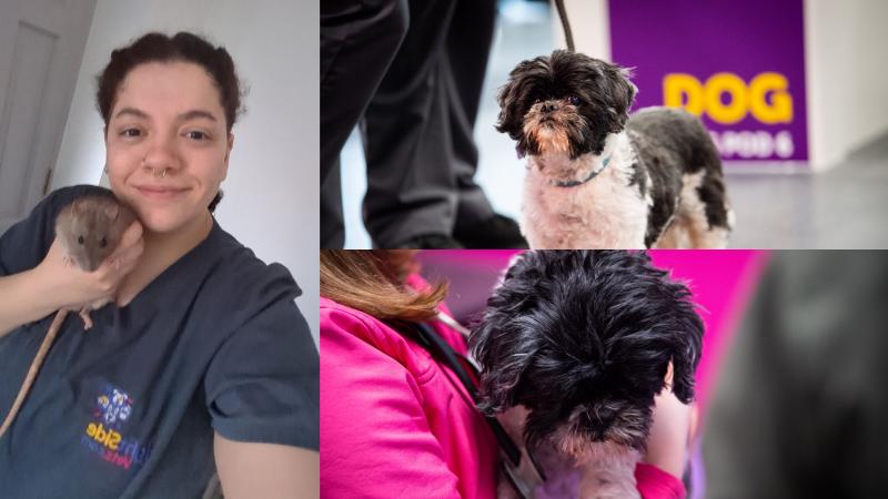 Bright Side Vets on LinkedIn: Tips for your first Clinical EMS ... Bright Side Vets on LinkedIn: Tips for your first Clinical EMS ...