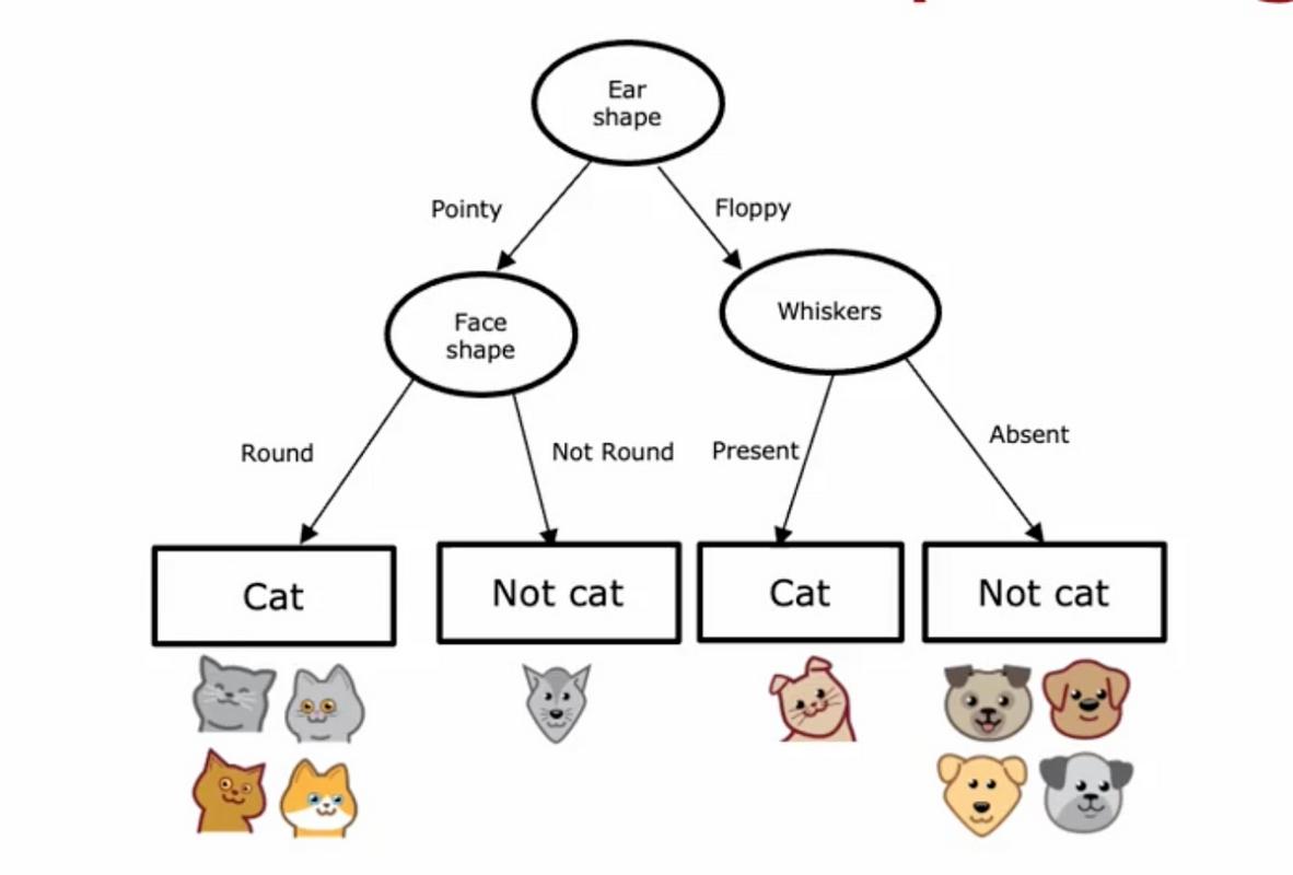 Omid S. on LinkedIn: Decision Tree implementation From Scratch ... Omid S. on LinkedIn: Decision Tree implementation From Scratch ...