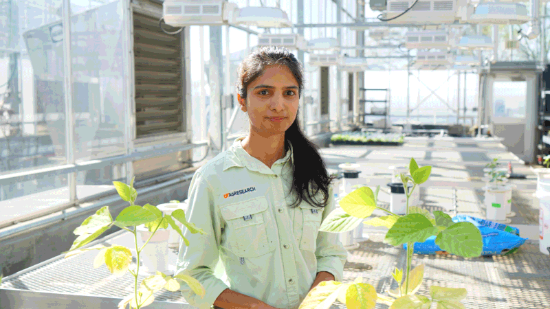 Isha Poudel, PhD on LinkedIn: Isha Poudel Isha Poudel, PhD on LinkedIn: Isha Poudel