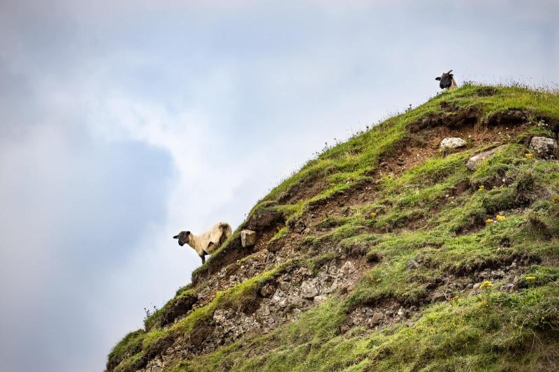 Augustine Smith on LinkedIn: Backend Scaling Strategies for Optimal ... Augustine Smith on LinkedIn: Backend Scaling Strategies for Optimal ...