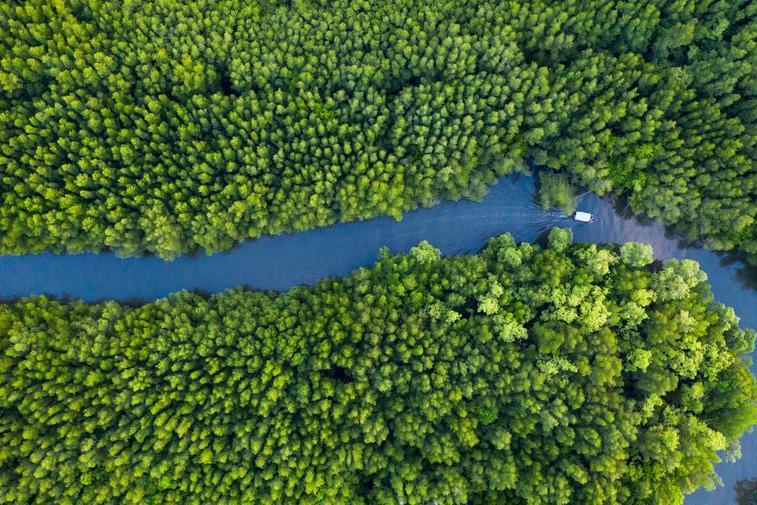 BizAway on LinkedIn: BizAway aligns with COP28 initiatives for ... BizAway on LinkedIn: BizAway aligns with COP28 initiatives for ...