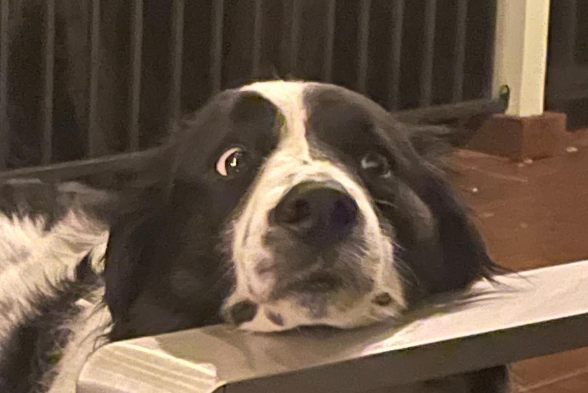 David Allan on LinkedIn: Loading SOAP results into OCI Object Storage? David Allan on LinkedIn: Loading SOAP results into OCI Object Storage?