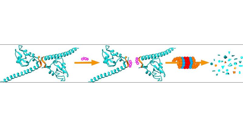 Meng Wu on LinkedIn: Small Molecule Inhibitors Targeting the ... Meng Wu on LinkedIn: Small Molecule Inhibitors Targeting the ...