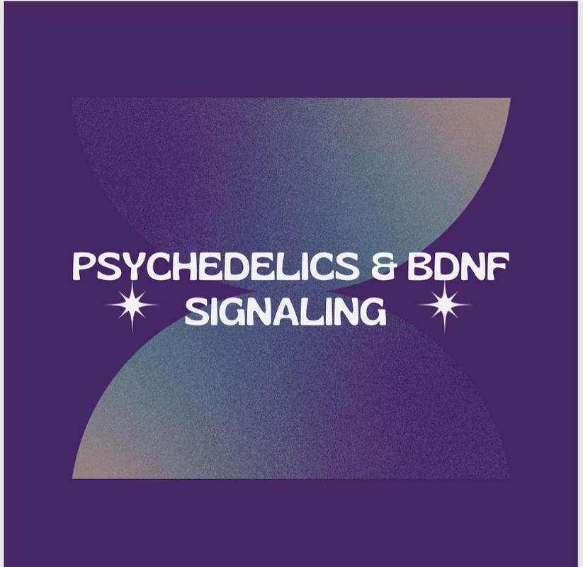 Brian Hogan on LinkedIn: Breaking: Psychedelics evidenced to modulate ... Brian Hogan on LinkedIn: Breaking: Psychedelics evidenced to modulate ...