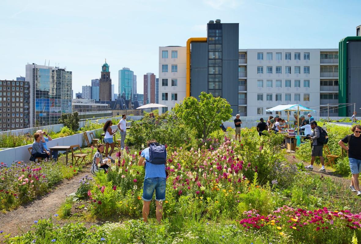 Adaptation Leader on LinkedIn: The practice of climate adaptation in a ... Adaptation Leader on LinkedIn: The practice of climate adaptation in a ...