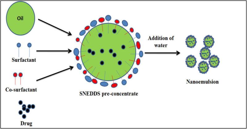 Philippe Tschopp on LinkedIn: Self-Nano-Emulsifying Drug-Delivery ... Philippe Tschopp on LinkedIn: Self-Nano-Emulsifying Drug-Delivery ...