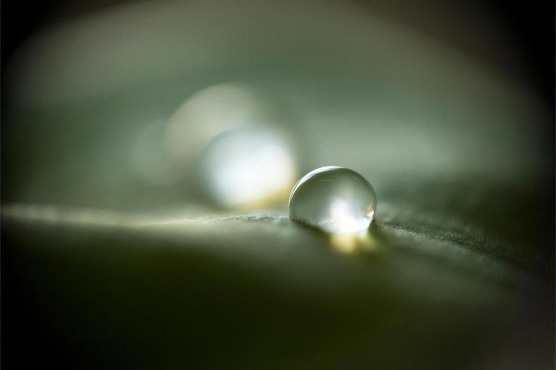 DOUG CLARK on LinkedIn: Cambridge Scientists Unveil New Theory on ... DOUG CLARK on LinkedIn: Cambridge Scientists Unveil New Theory on ...