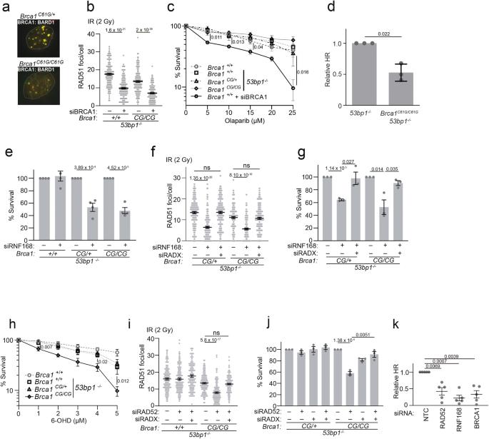 Libby Anthony, PhD on LinkedIn: Mechanisms of synthetic lethality ... Libby Anthony, PhD on LinkedIn: Mechanisms of synthetic lethality ...