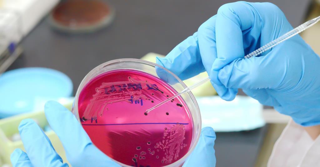 Packaging Europe on LinkedIn: Researchers create packaging tray that ... Packaging Europe on LinkedIn: Researchers create packaging tray that ...