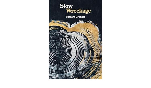 David Vincenti, PMP on LinkedIn: Slow Wreckage: poems David Vincenti, PMP on LinkedIn: Slow Wreckage: poems
