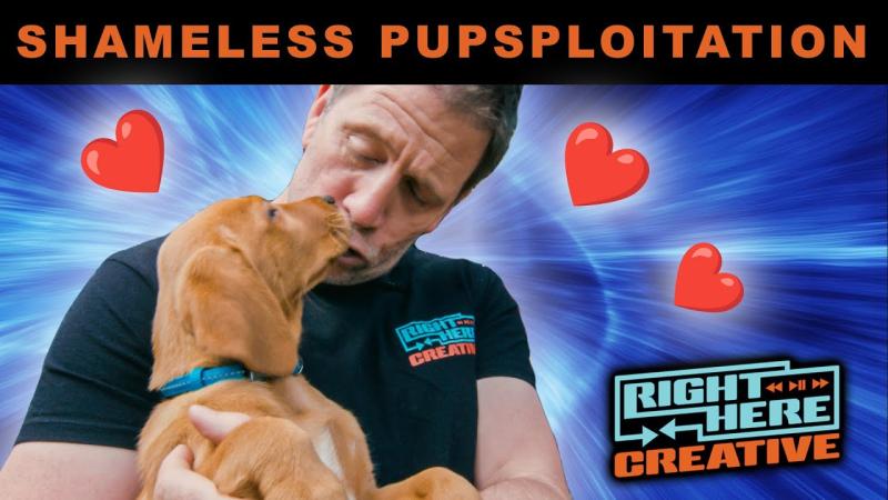 Duncan Threadgould on LinkedIn: Shameless Pupsploitation | 12 comments Duncan Threadgould on LinkedIn: Shameless Pupsploitation | 12 comments