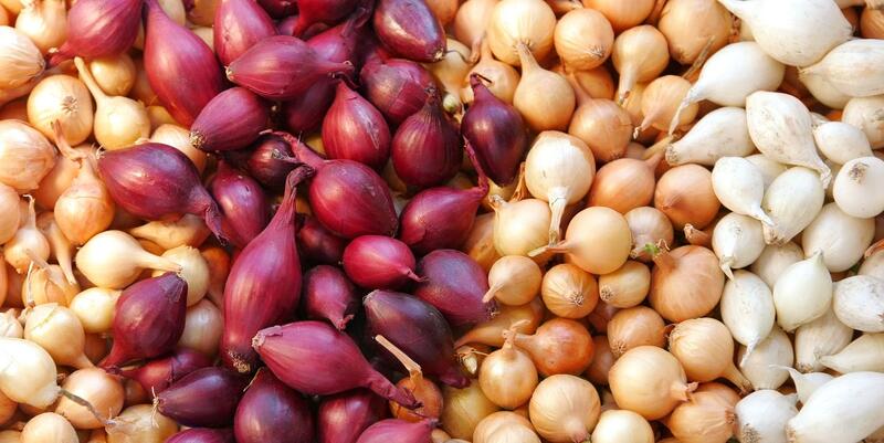 Danielle B. Ayyash on LinkedIn: The Top 10 Prebiotic Foods Danielle B. Ayyash on LinkedIn: The Top 10 Prebiotic Foods