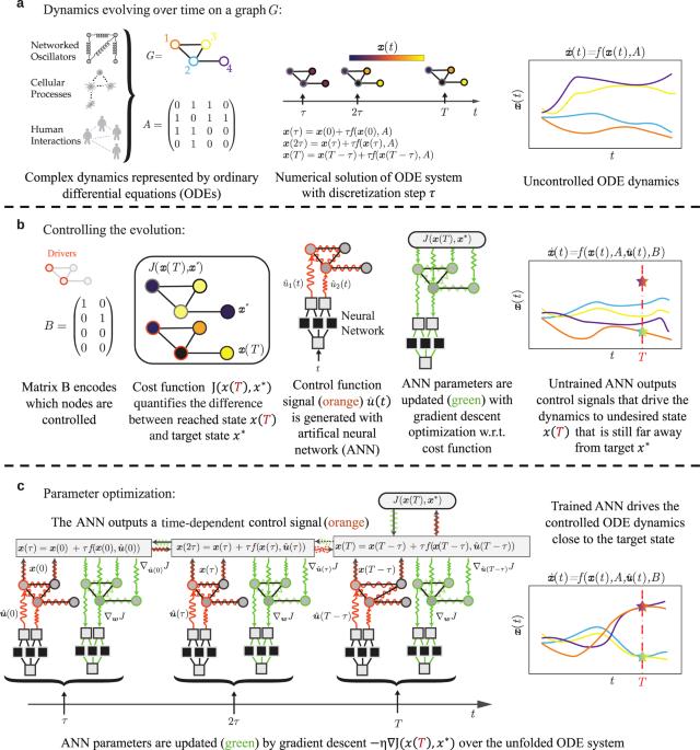 Lucas Böttcher в LinkedIn: AI Pontryagin or how artificial neural ... Lucas Böttcher в LinkedIn: AI Pontryagin or how artificial neural ...