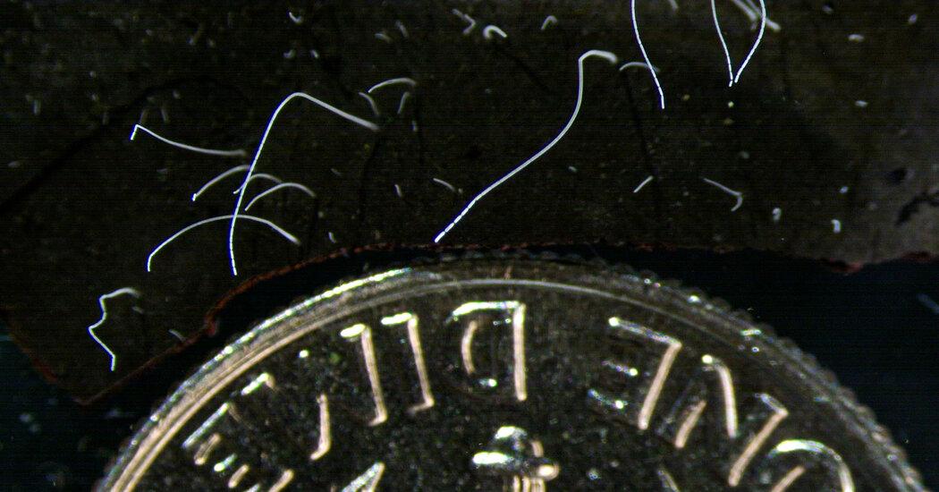 Smadar Kornfilt auf LinkedIn: You Don’t Need a Microscope to See the ... Smadar Kornfilt auf LinkedIn: You Don’t Need a Microscope to See the ...