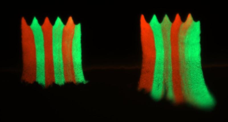 W. John Keyes on LinkedIn: Research team develops surfaces designed to ... W. John Keyes on LinkedIn: Research team develops surfaces designed to ...