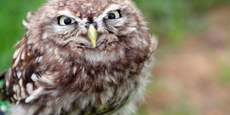 Miles Larson on LinkedIn: LLMs shouldn’t write SQL Miles Larson on LinkedIn: LLMs shouldn’t write SQL