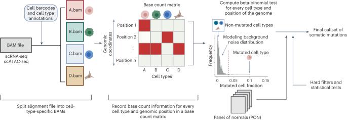 Dr. Silambarasan Maskomani (PhD - Genomics) on LinkedIn: De novo ... Dr. Silambarasan Maskomani (PhD - Genomics) on LinkedIn: De novo ...