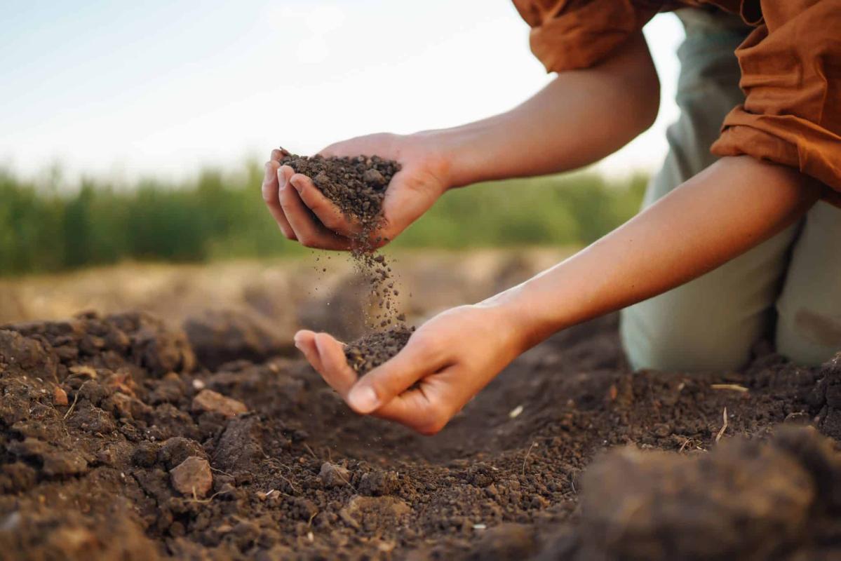 Climate-KIC on LinkedIn: EIT Climate-KIC joins EU Mission Soil as ... Climate-KIC on LinkedIn: EIT Climate-KIC joins EU Mission Soil as ...