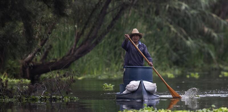Lara Gale on LinkedIn: What ancient farmers can really teach us about ... Lara Gale on LinkedIn: What ancient farmers can really teach us about ...