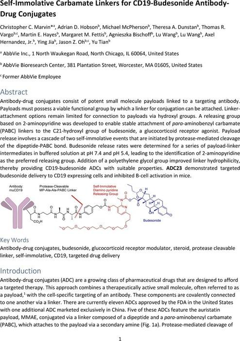 Eugene Nyamugenda, Ph.D. on LinkedIn: Self-Immolative Carbamate Linkers ... Eugene Nyamugenda, Ph.D. on LinkedIn: Self-Immolative Carbamate Linkers ...