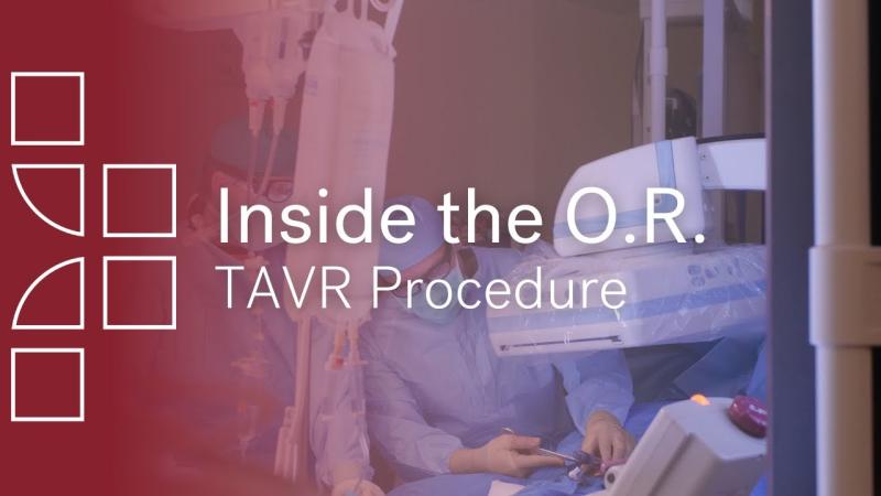 Kate Ruud MSN Nursing Administration, RN-CCRN on LinkedIn: Inside the ... Kate Ruud MSN Nursing Administration, RN-CCRN on LinkedIn: Inside the ...