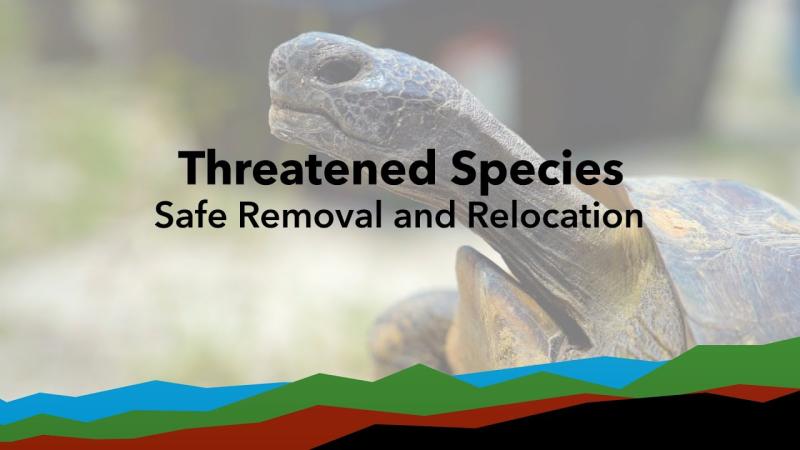 Dan Nedvidek, P.G. on LinkedIn: Threatened Species Protection - Gopher ... Dan Nedvidek, P.G. on LinkedIn: Threatened Species Protection - Gopher ...