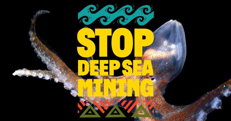 Ken Zulumovski on LinkedIn: Help us Stop Deep Sea Mining Ken Zulumovski on LinkedIn: Help us Stop Deep Sea Mining