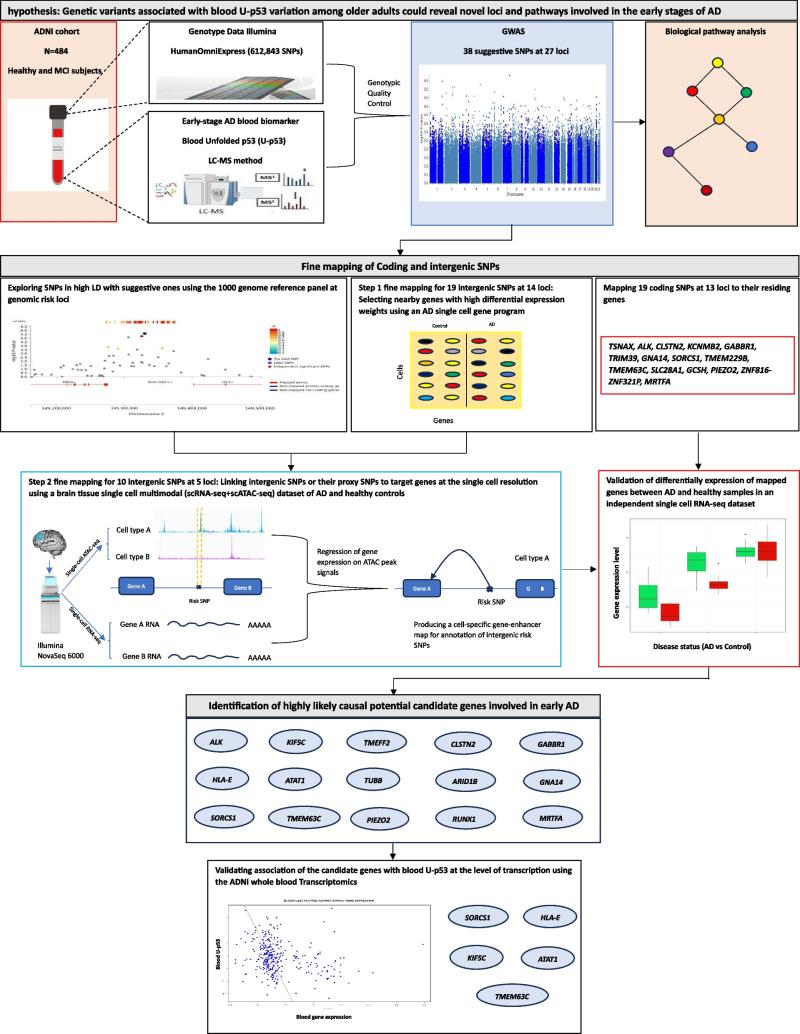 Seyed Amir Malekpour on LinkedIn: Unraveling the genetic architecture ... Seyed Amir Malekpour on LinkedIn: Unraveling the genetic architecture ...