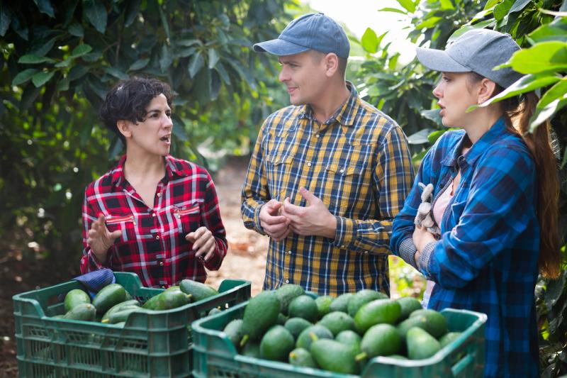 How spoken language supports Minnesota food supply chain | University ... How spoken language supports Minnesota food supply chain | University ...