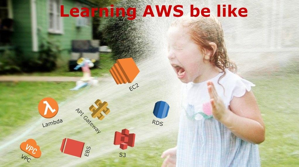 Luiz Gustavo Pinheiro de Camargo Filho on LinkedIn: Don't Learn AWS ... Luiz Gustavo Pinheiro de Camargo Filho on LinkedIn: Don't Learn AWS ...