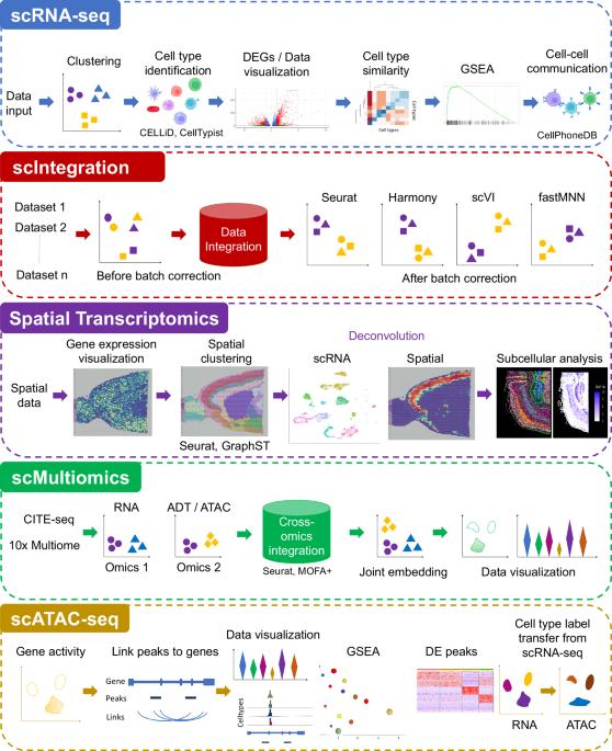 Raman Sethi on LinkedIn: ezSingleCell: an integrated one-stop single ... Raman Sethi on LinkedIn: ezSingleCell: an integrated one-stop single ...