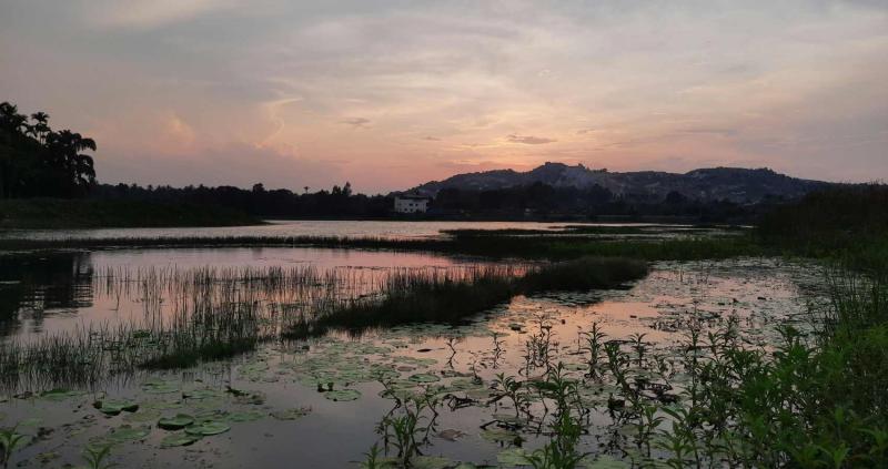 Sreejith Varma R on LinkedIn: We Live in a House Near the Marsh by R ... Sreejith Varma R on LinkedIn: We Live in a House Near the Marsh by R ...